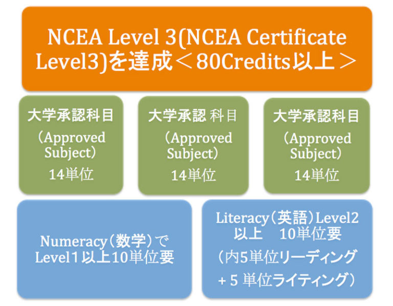 【易しく解説】NCEAの仕組みと大学入学資格・高校卒業資格 | ニュージーランド 高校留学/語学留学/ワーキングホリデー留学を充実サポート ...